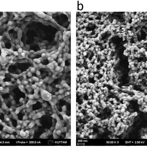 Ftir For Dried Paanisin And Dxnisin Complexes Compared To Paa Dx Download Scientific
