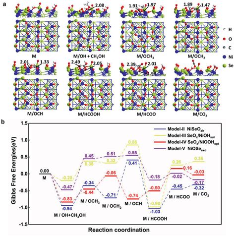 A Dft Optimized Structures Of The Adsorbed Intermediates In Methanol
