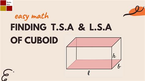 T S A And L S A Of Cuboid Youtube