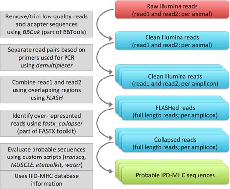 data analysis flowchart flowchart describes the analysis workflow used