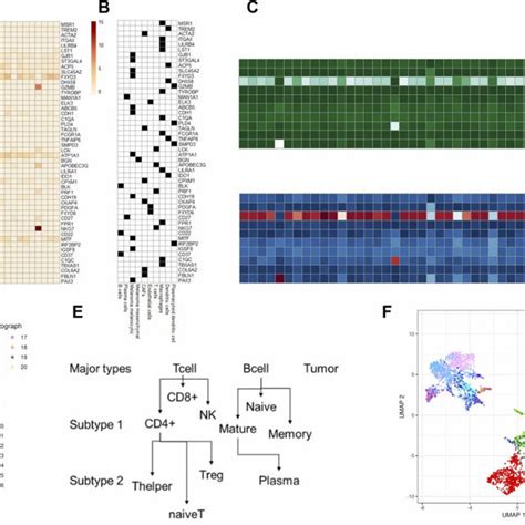Schematics Of The Scroshi Workflow The Gene X Cell Row X Column Download Scientific Diagram