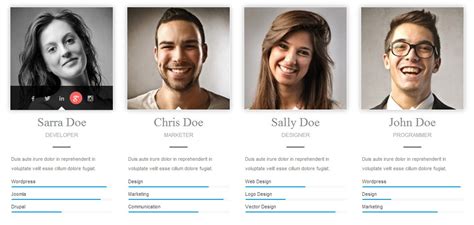 Team Showcase For Wpbakery Page Builder Wordpress Plugin By Azzaroco