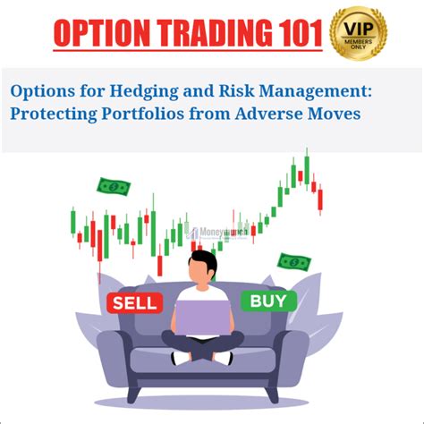 Options For Hedging And Risk Management Protecting Portfolios From Adverse Moves Moneymunch
