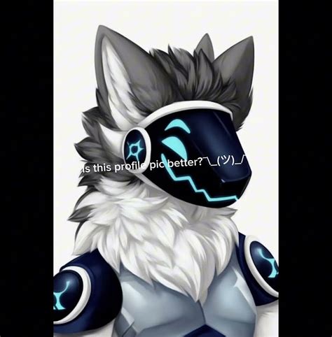 New Profile Picture Protogen Youtube
