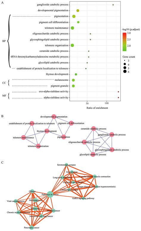 Significantly Enriched Go Terms And Kegg Pathways Of 111 Download
