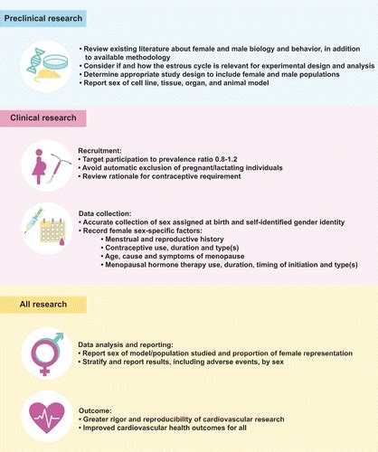 Female Sex Specific Considerations To Improve Rigor And Reproducibility In Cardiovascular
