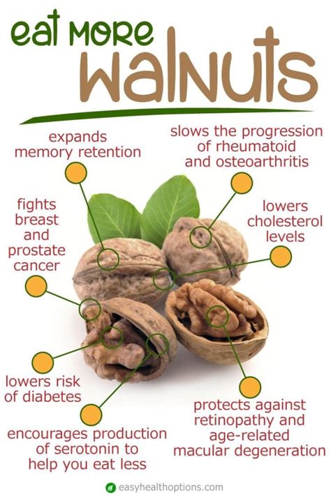 5 Proven Health Benefits Of Walnuts