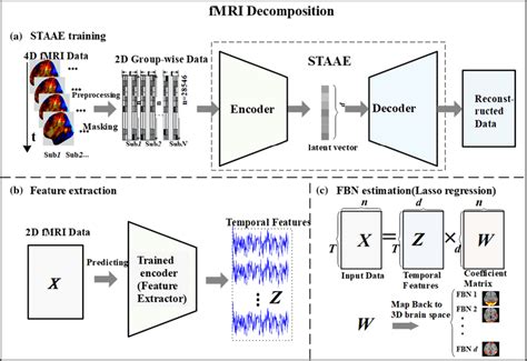 Illustration Of Fmri Decomposition By Staae Spatiotemporal Attention