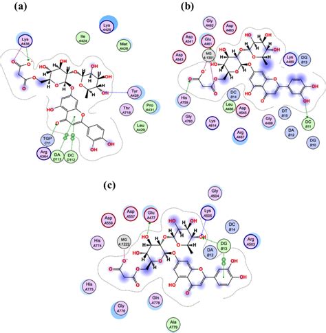 2d Diagram Of The Binding Interactions Of Download Scientific Diagram