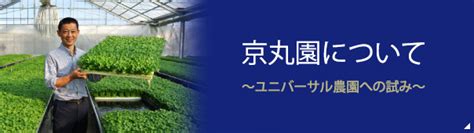 水耕栽培京丸姫シリーズ生産農家京丸園株式会社静岡県浜松市