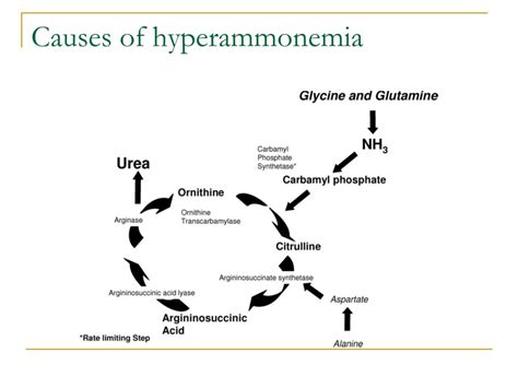 Ppt Ccm Presentation The Forgotten Area In Icu ………… Fertility Powerpoint Presentation Id