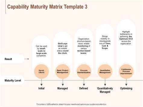 Capability Maturity Matrix Process Ppt Powerpoint Presentation Ideas