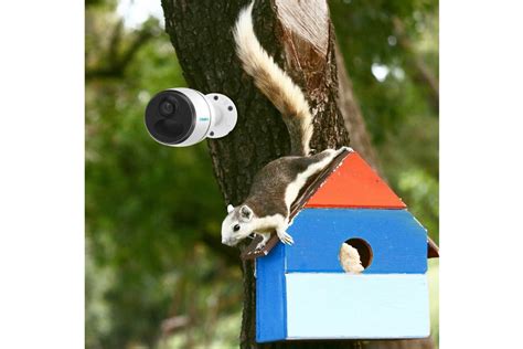 Reolink Go Plus Wireless K Security Camera At Mighty Ape NZ