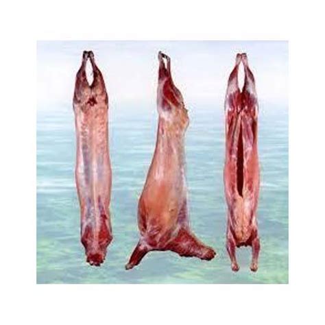 Fresh Goat Carcass At ₹ 350kilogram Goat Carcass In Jaipur Id