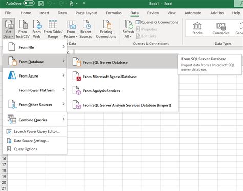 Connections Bringing Sql Server Data Into Excel