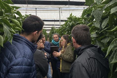 Innovación Tecnológica Y Tradición En La Agricultura Con Ana María