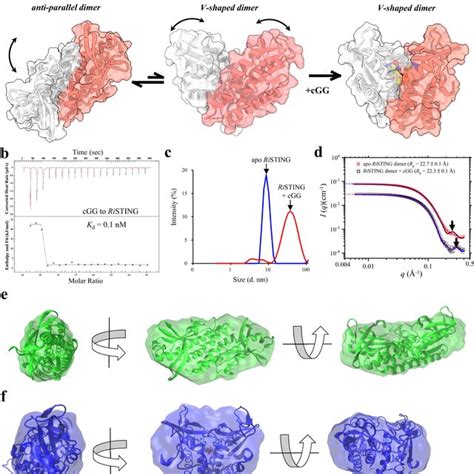 Conformational Transition Between Inactive And Active States Of
