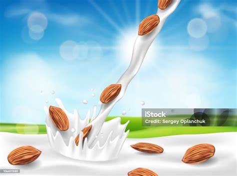 아몬드 우유 또는 요구르트 스플래쉬와 씨앗 흘러 내리고 현실적인 우유 드롭 맑은 푸른 하늘 배경에 고립 벡터 일러스트 레이 션 아몬드우유에 대한 스톡 벡터 아트 및 기타