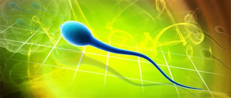 Sperm Abstraction Abstract Bokeh Life Sex Sexual Medical Dna