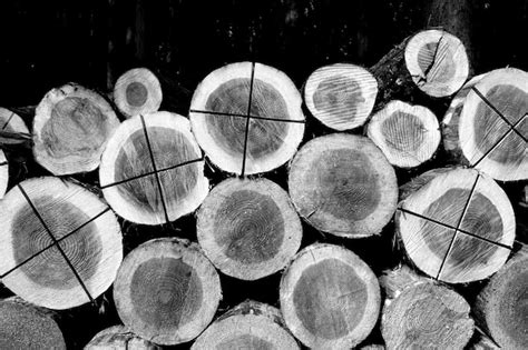 Premium Photo Stack Of Logs