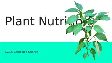 Igcse Combined Science Biology Only Teaching Resources