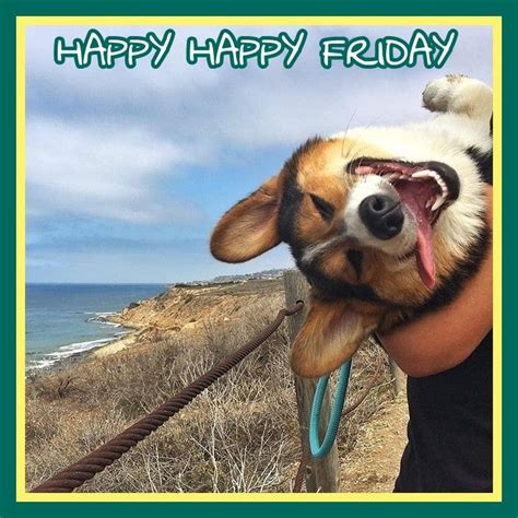 Happy Friday Animal Pics