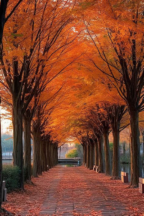 마이클 레온 스미스의 가을 길 배경 배경 화면 및 일러스트 무료 다운로드 Pngtree