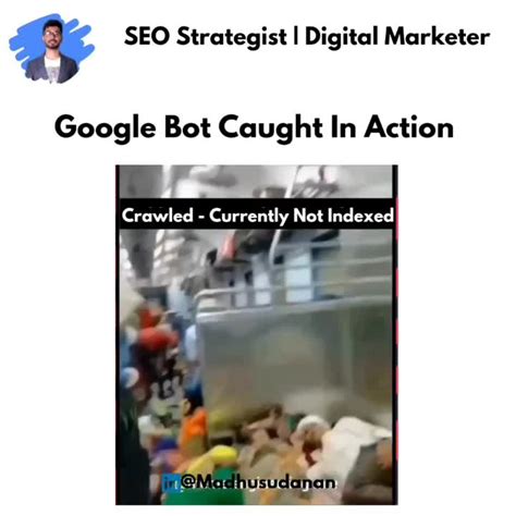 Piyush Ingle On Linkedin 😂😂😂seo Crawled Issue 😂