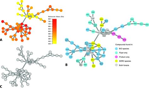 subset of a molecular network of foliar metabolomes of 204 plant