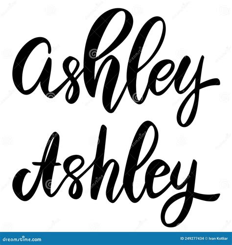 Ashley Female Name In Stylish Lettering Cursive Typography Text Cartoon Vector Cartoondealer