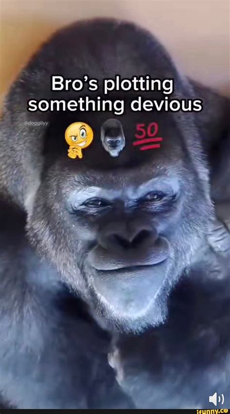 Bros Plotting Something Devious Ifunny