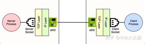 手撕Linux SocketSocket原理与实践分析 知乎
