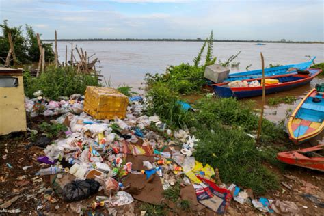 Man Throwing Garbage In The River