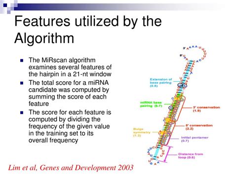 Ppt Computational Prediction Of Mirnas And Their Targets Overview Of Tools And Biological