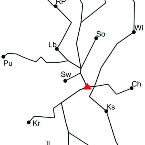 The Minimum Cost Tree Rooted In Optimal Location Download Scientific