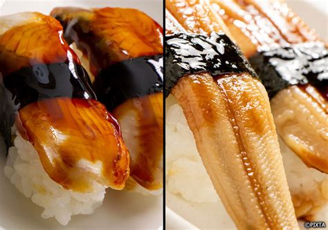 Anago Vs Unagi Eel Species Shizuoka Sushi And Sashimi The Other