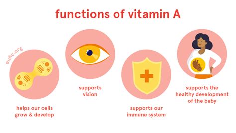Vitamin A Foods Functions How Much Do You Need More Eufic