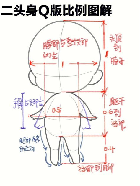Q版本二头身比例图解（正面侧面）