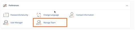 How To Use Cpanel Team Manager
