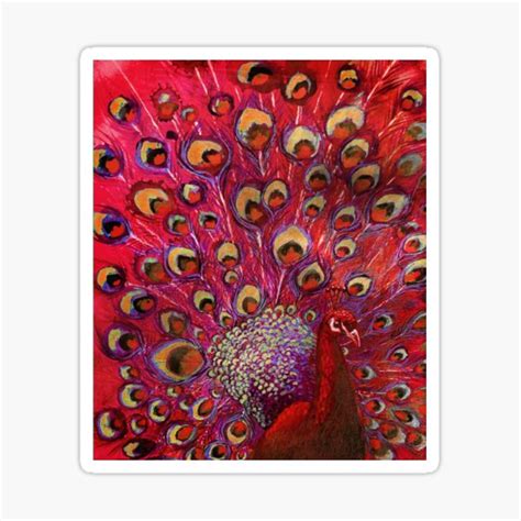 Red Peacock Full Glory Sticker For Sale By Nicolamorgan Redbubble