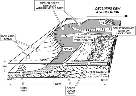 10 Block Diagram Of Ooid Delta Morphology With Runnels And Bars And Download Scientific Diagram