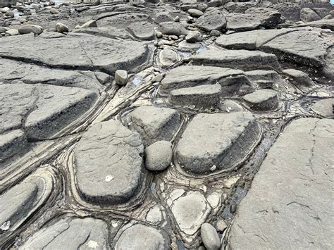 Help With Modelling This Grasshopper Mcneel Forum