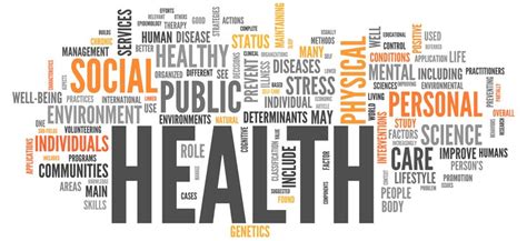 Hanoi University Of Public Health Linkedin