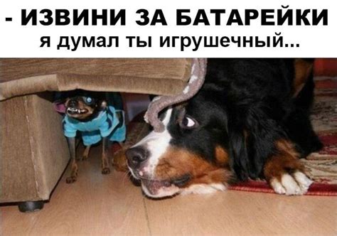 Сайт хорошего настроения