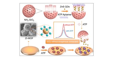 A Controlled Release Aptasensor Utilizing Aie Active Mofs As High