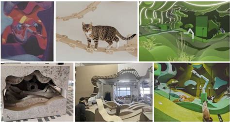 Tech Xplore On Linkedin Cat Collaboration Demonstrates What It Takes To Trust Robots