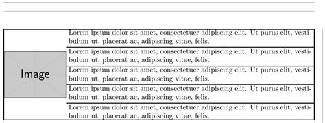 Graphics Display Multiple Paragraphs At The Right Side Of An Image Separated By Vertical Line