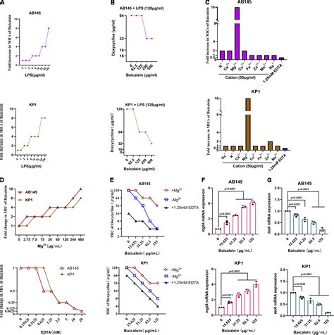 Baicalein Resensitizes Multidrug Resistant Gram Negative Pathogens To