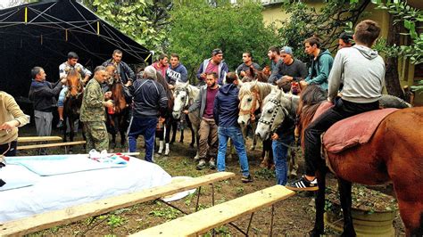 დალაობა