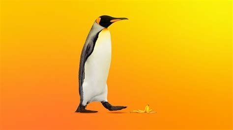 The Complete Linux Course To Become A Linux Administrator Royalboss